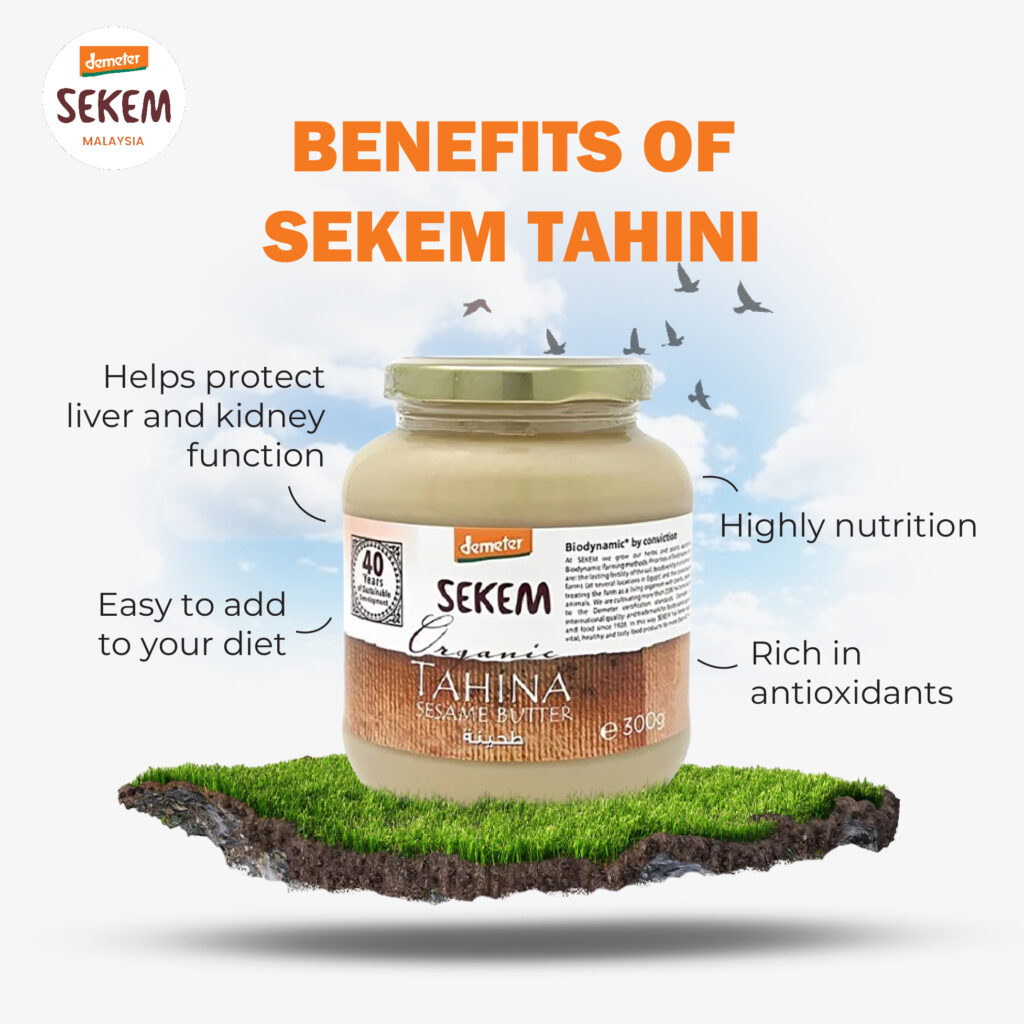 SEKEM MALAYSIA | SUSTAINABLE DEVELOPMENT SINCE 1977